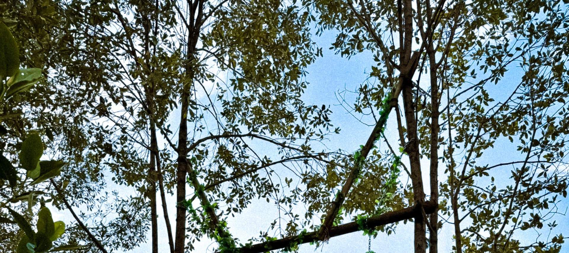 Bongawan Mangrove River Cruise, Fireflies, Sky Mirror Tour - Klook