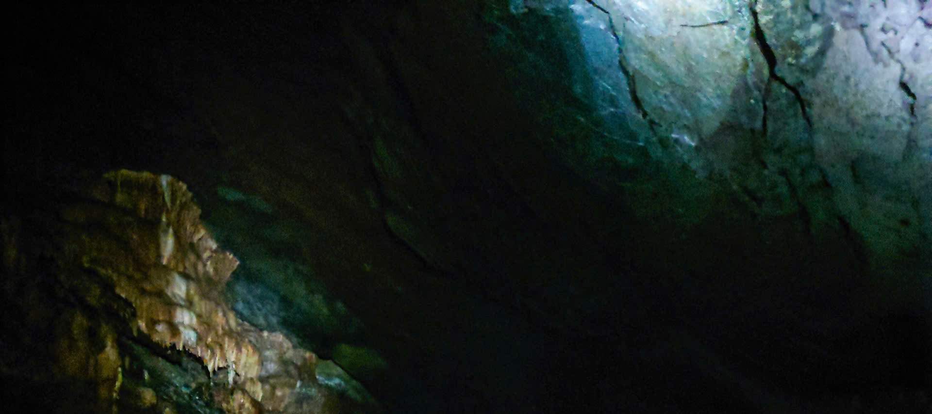 Tra Ang Cave Excursion Trekking Day Tour from Phong Nha - Klook