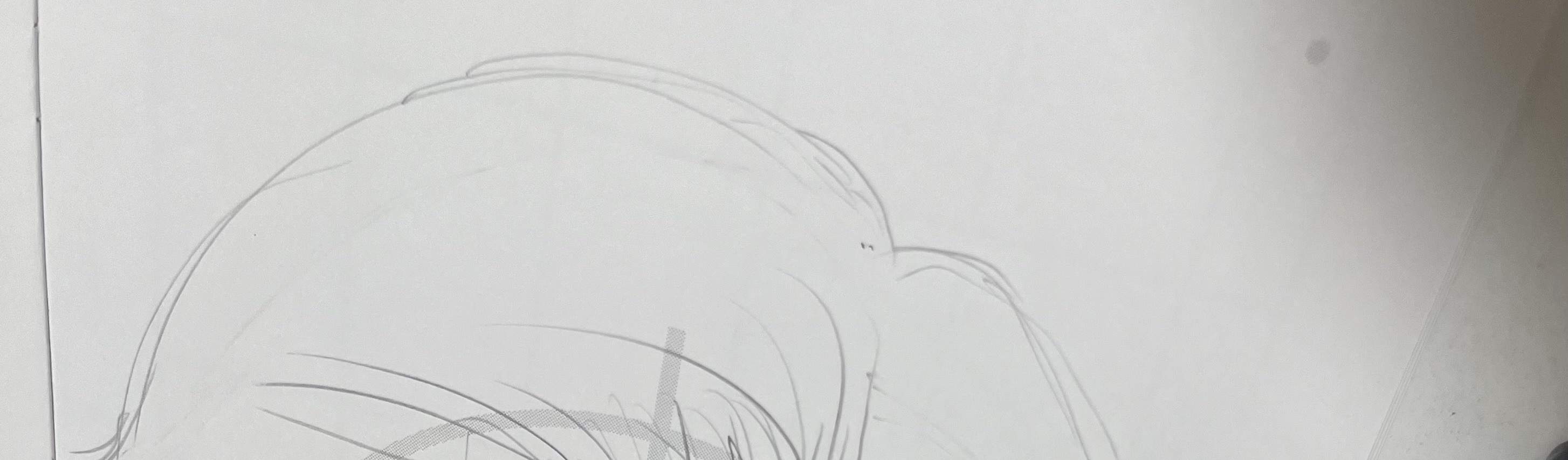 Manga Creation Experience with a Famous Active Professional Manga ...