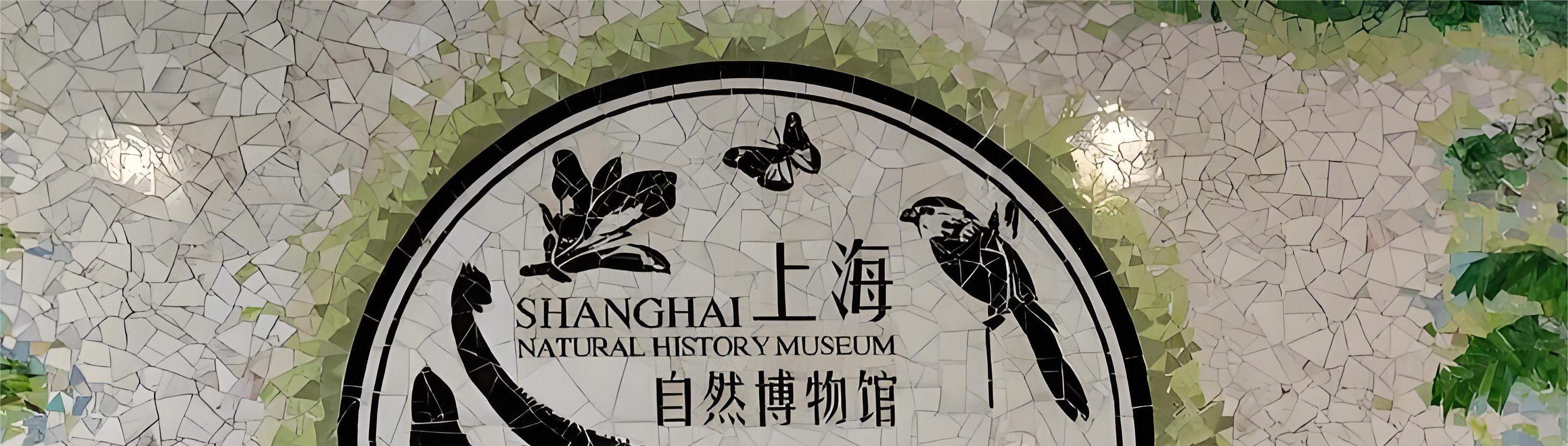 Shanghai Natural History Museum Half-Day Tour (2-hour in-depth course ...