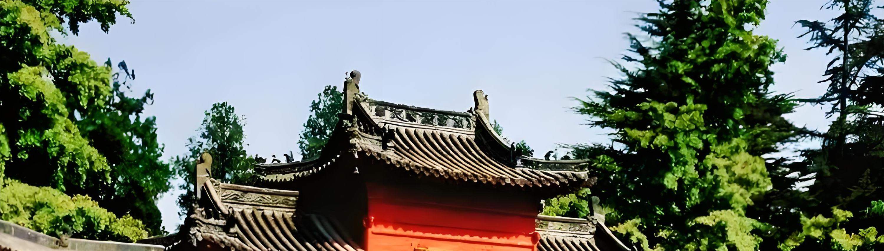 Luoyang Longmen Grottoes Shaolin Temple Luoyang Museum Private Charter ...