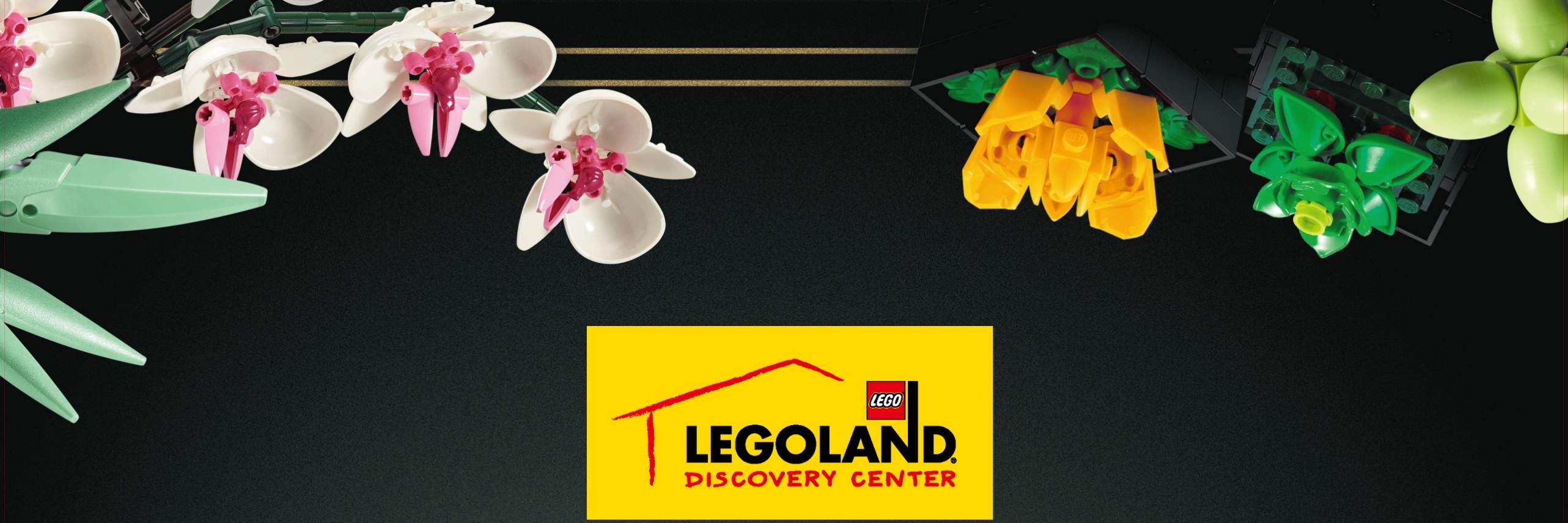 LEGOLAND Discovery Center Tokyo Ticket "Adult Lego Night" - Klook