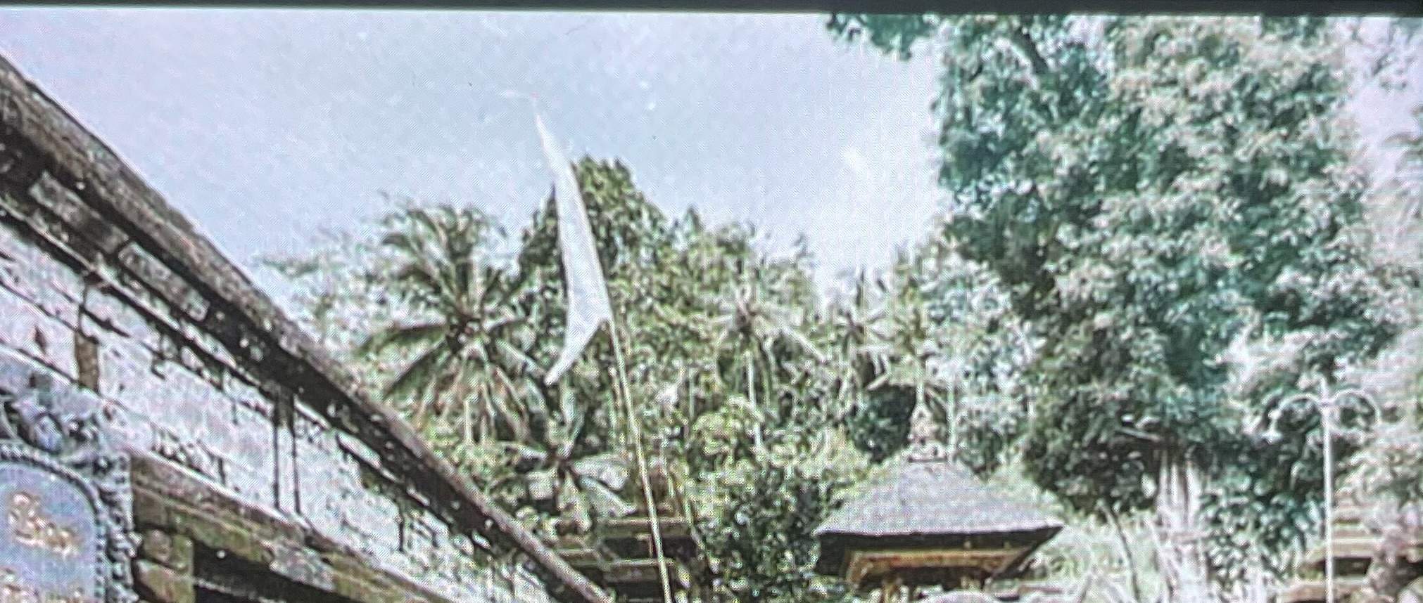 Batubulan Kecak and Fire Dance with Ubud Private Tour - Klook