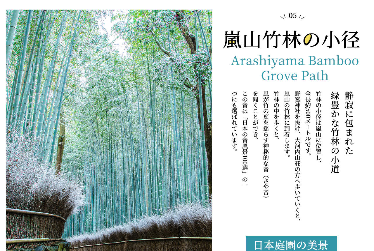 Kyoto Day Tour | Kifune Shrine & Arashiyama Bamboo Forest & Sanzen-in ...