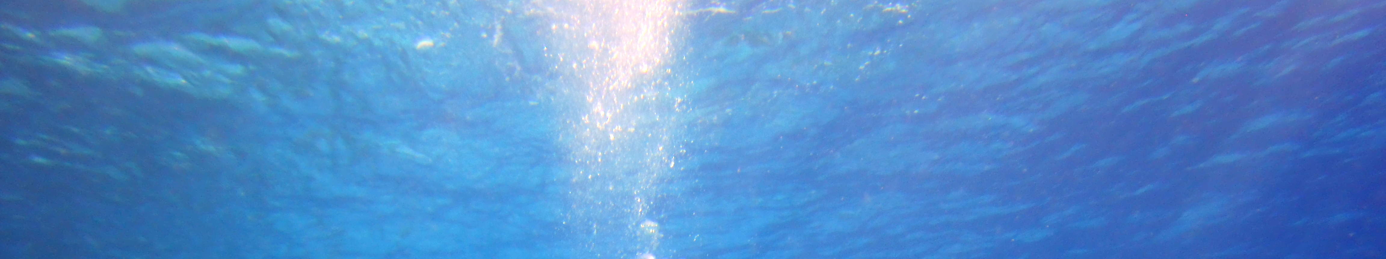 Experience PADI Discover Scuba Diving in Koh Tao with PADI 5 Star CDC ...