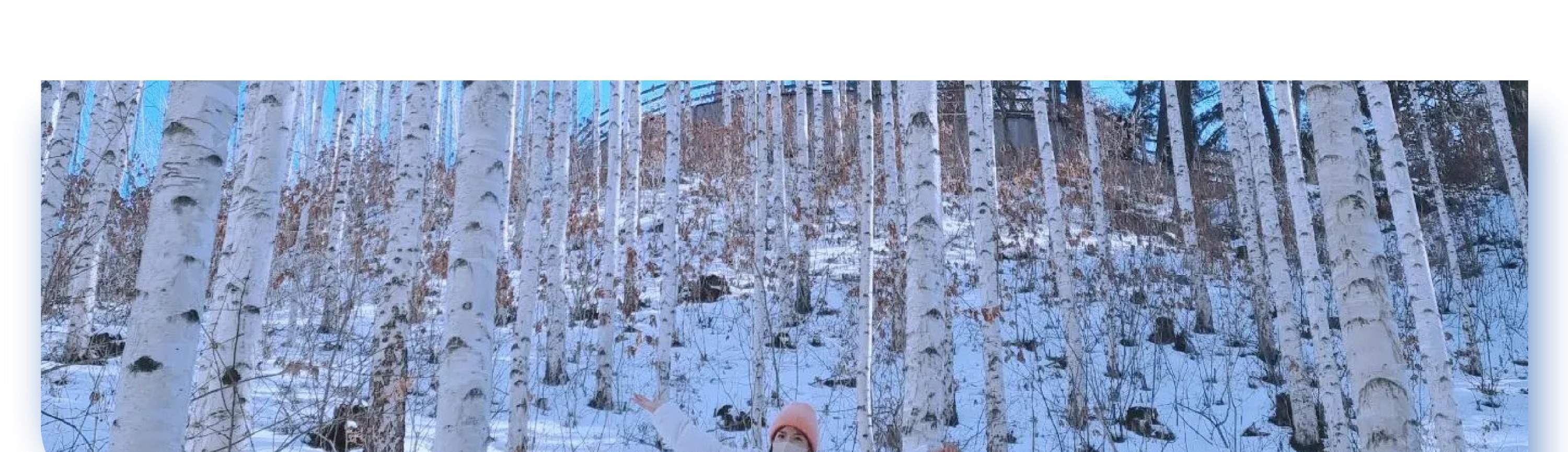 Snow Wondae-ri Birch Forest + Maebawi Icewall Day Tour from Seoul - Klook