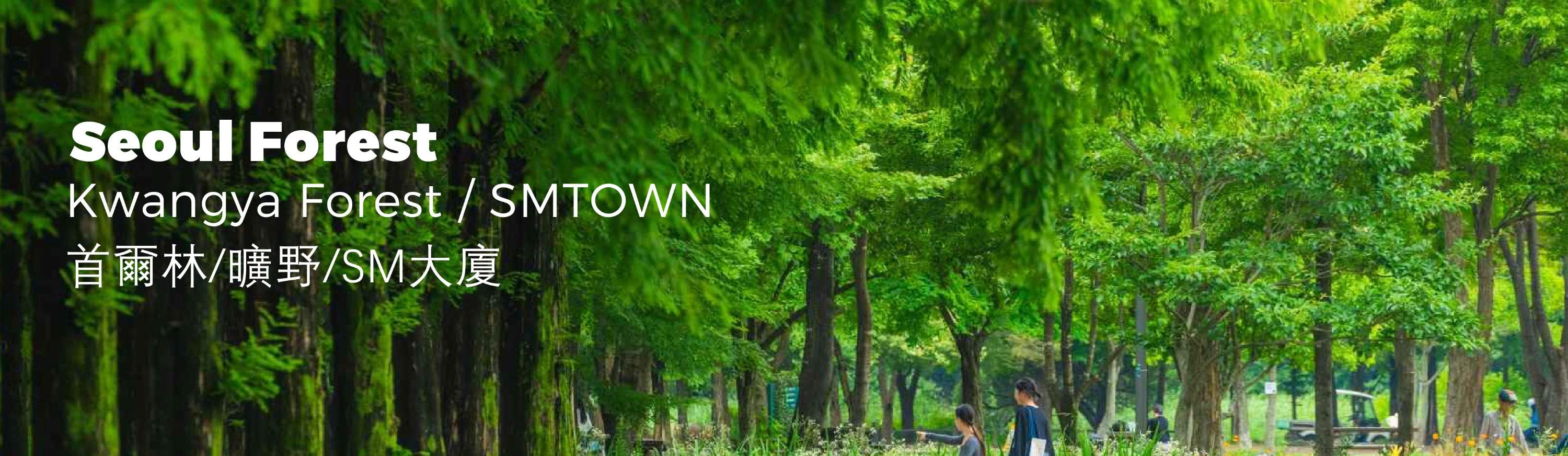 2024 Yeongdong Daero K-POP Concert Tour Package - Klook