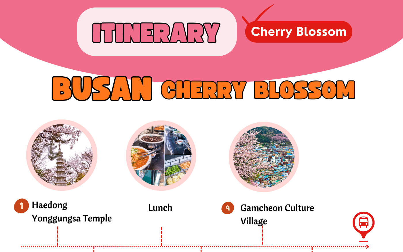 Busan City Cherry Blossom Tour with Top Attractions - Klook Stati Uniti