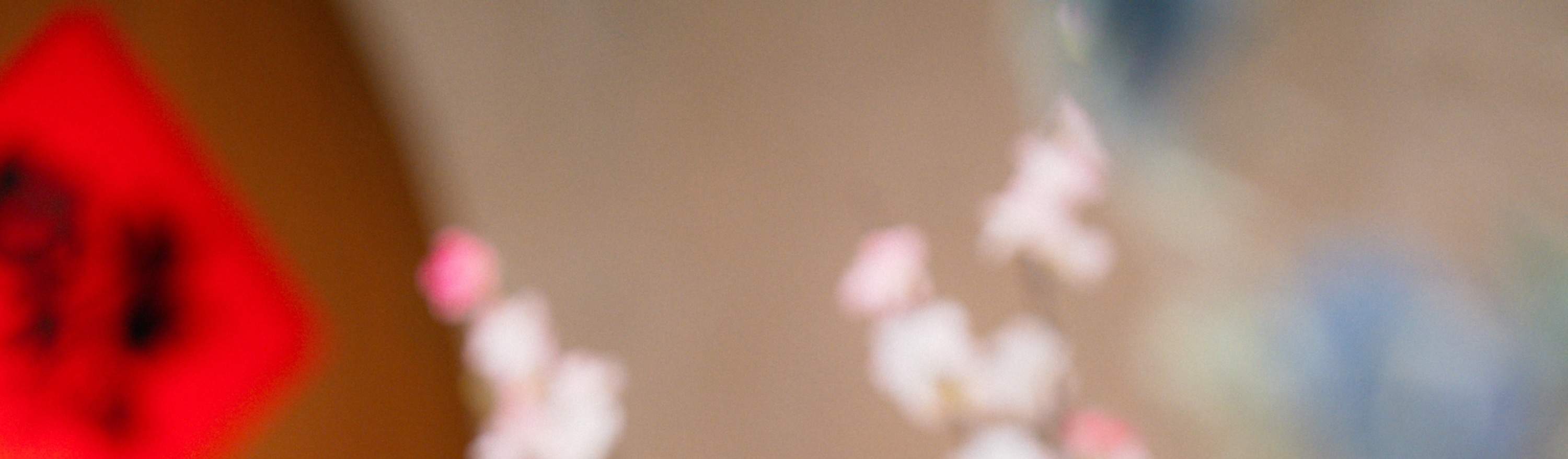 Celebrate the Lunar New Year: Year of the Dragon Family Portrait ...