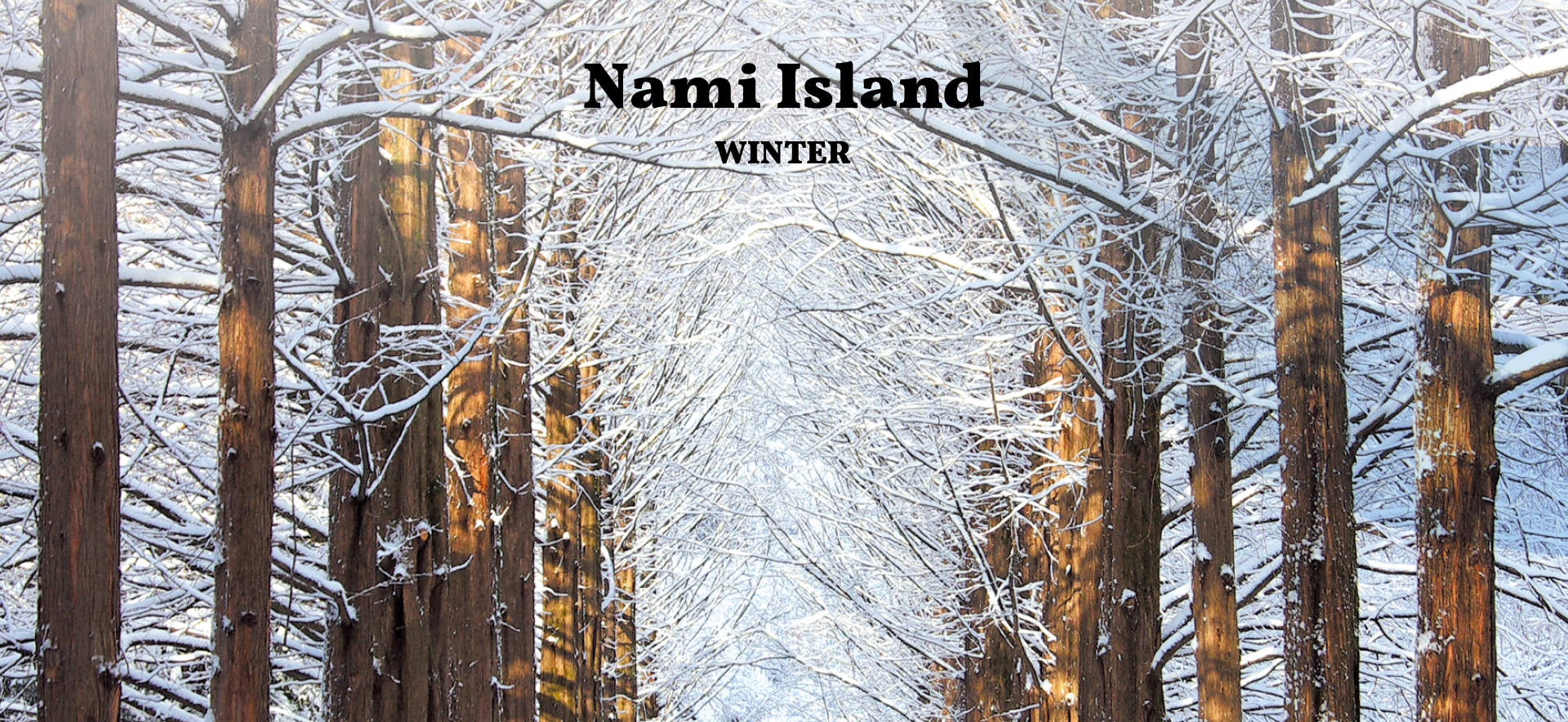 Nami Island Customizable Private Day Tour from Seoul - Klook Singapore
