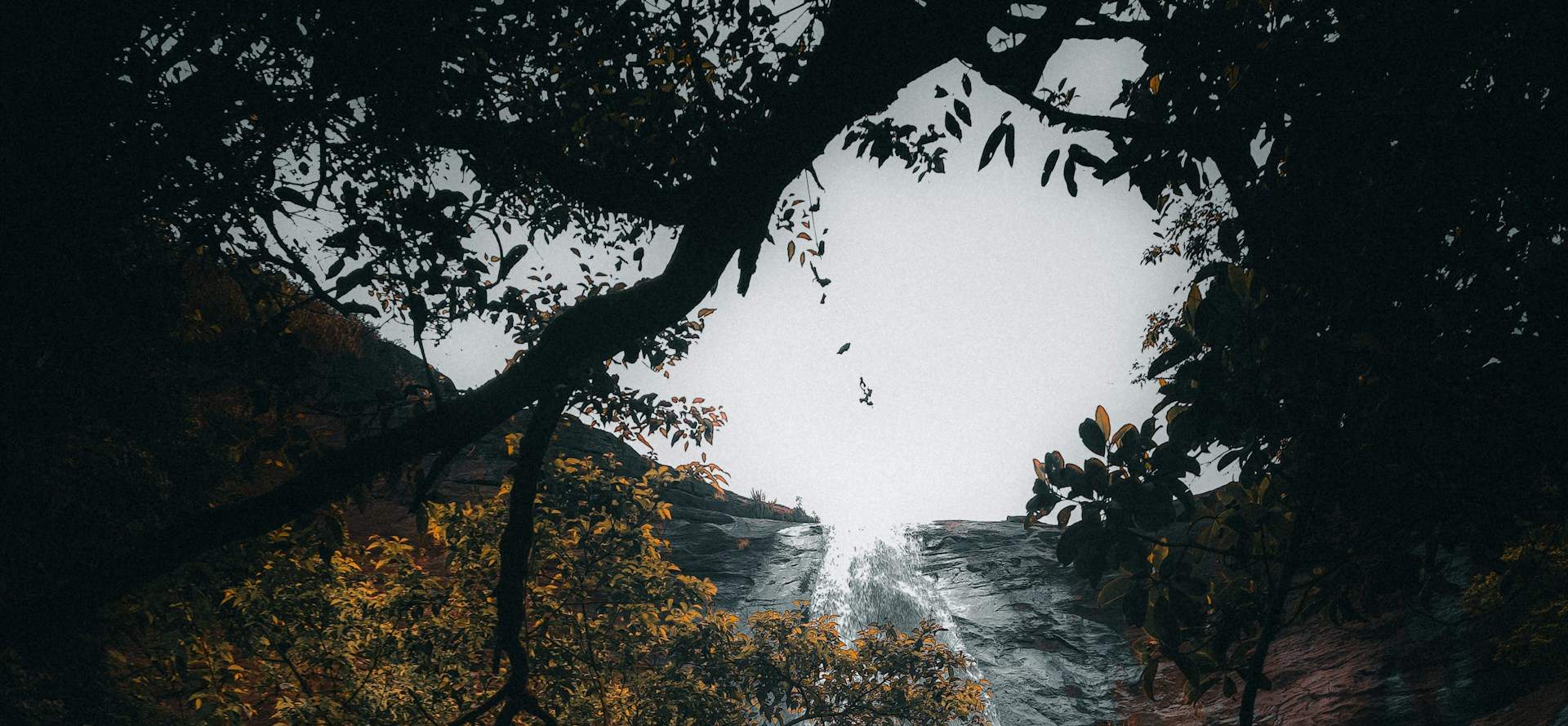 Discover the Beauty of Sri Lanka's Waterfalls: Bambarakanda Falls and ...