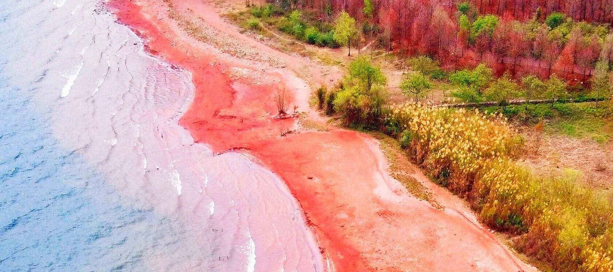 Pure Fuxian Lake Day Tour in Yunnan (Fuhai Bay Wetland Park + Hongzui ...