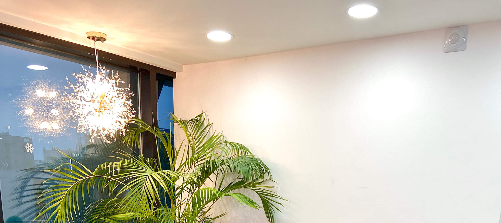 K-pop Celebrity Color Analysis by Color Place - Gangnam, Seoul - Klook ...