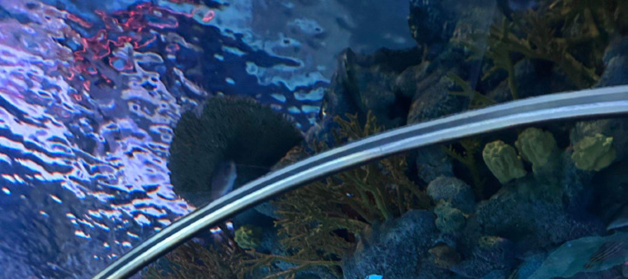 Shanghai Luxury One-Day Tour (All Tickets Included + Oriental Pearl ...