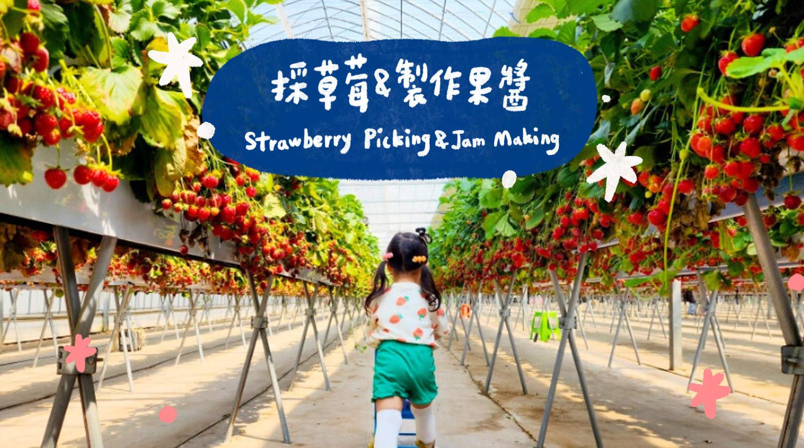 Vivaldi Snowyland / Nami / Alpaca / Strawberry / Garden (from Seoul ...