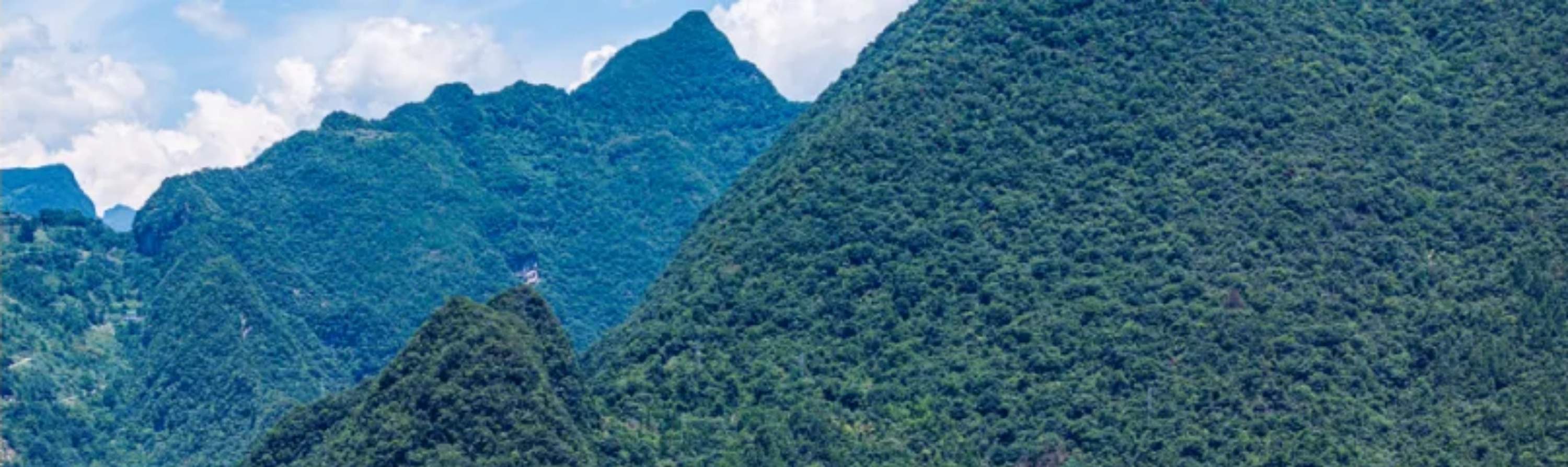 Hubei Yichang Qingjiang Gallery 1-Day Tour (Three Gorges Luxury Cruise ...