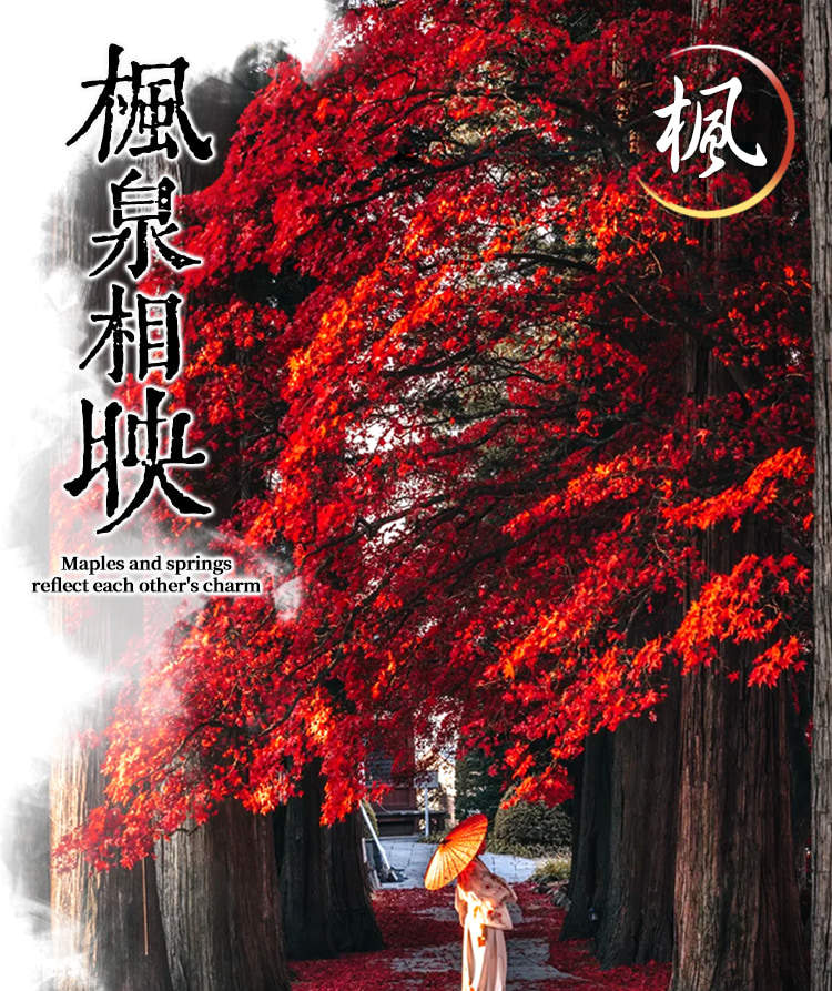 [Autumn Limited] Kyushu Beppu Fall Color Viewing Day Tour｜Kamado Shrine ...