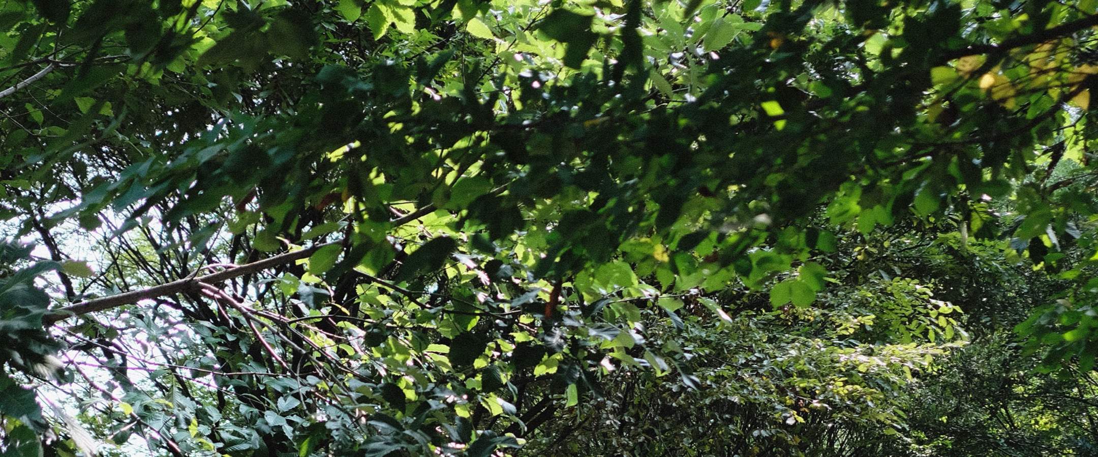 Seoul Gwanghwamun Loop Running Tour - Klook