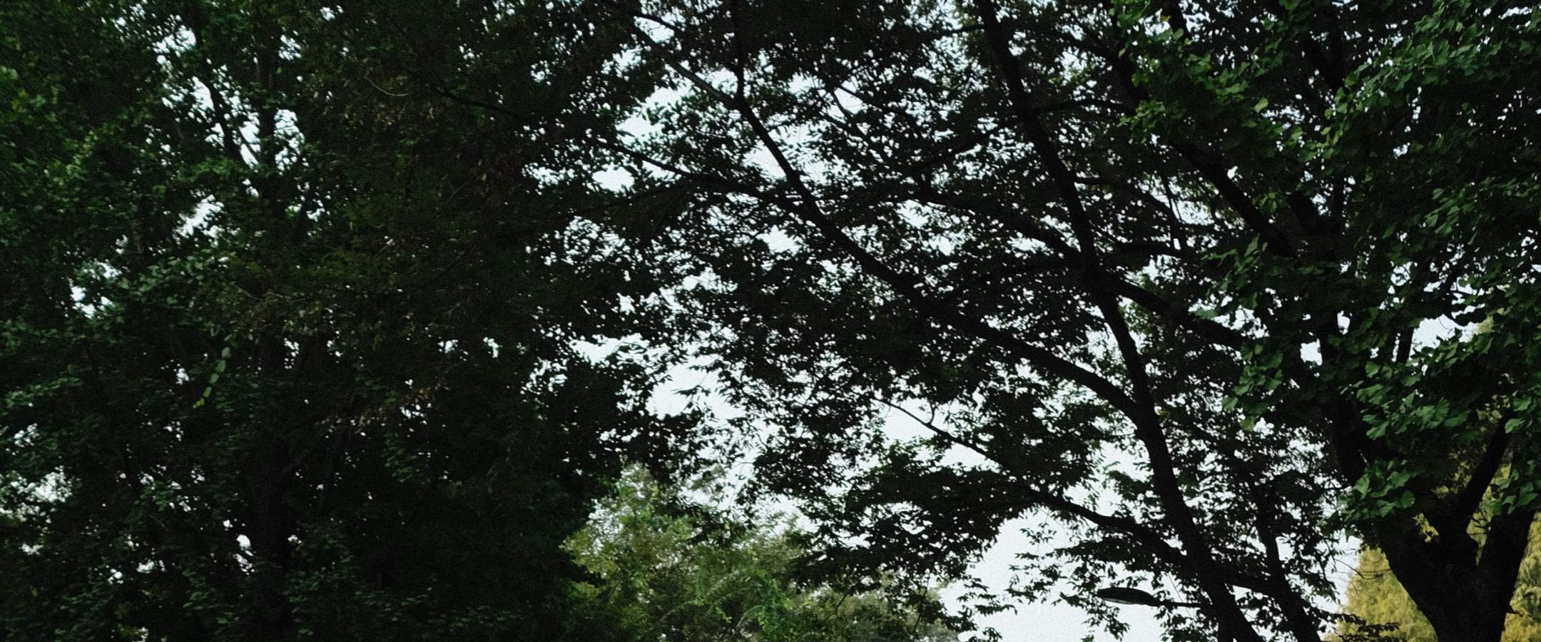 Seoul Gwanghwamun Loop Running Tour - Klook Malaysia