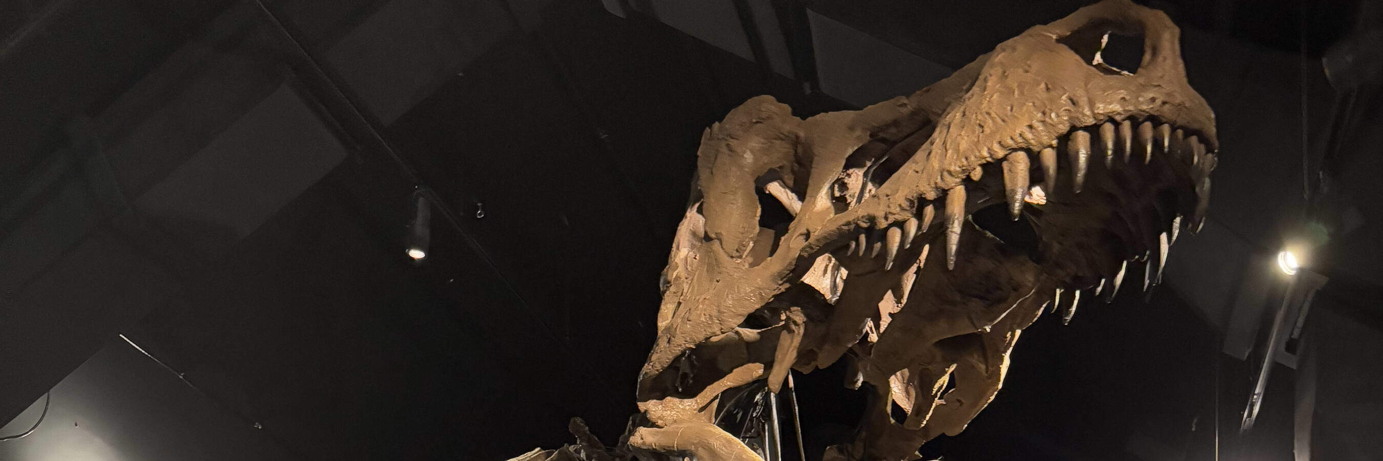 Science Centre Dinosaurs Extinctions Us Exhibition - Klook New Zealand