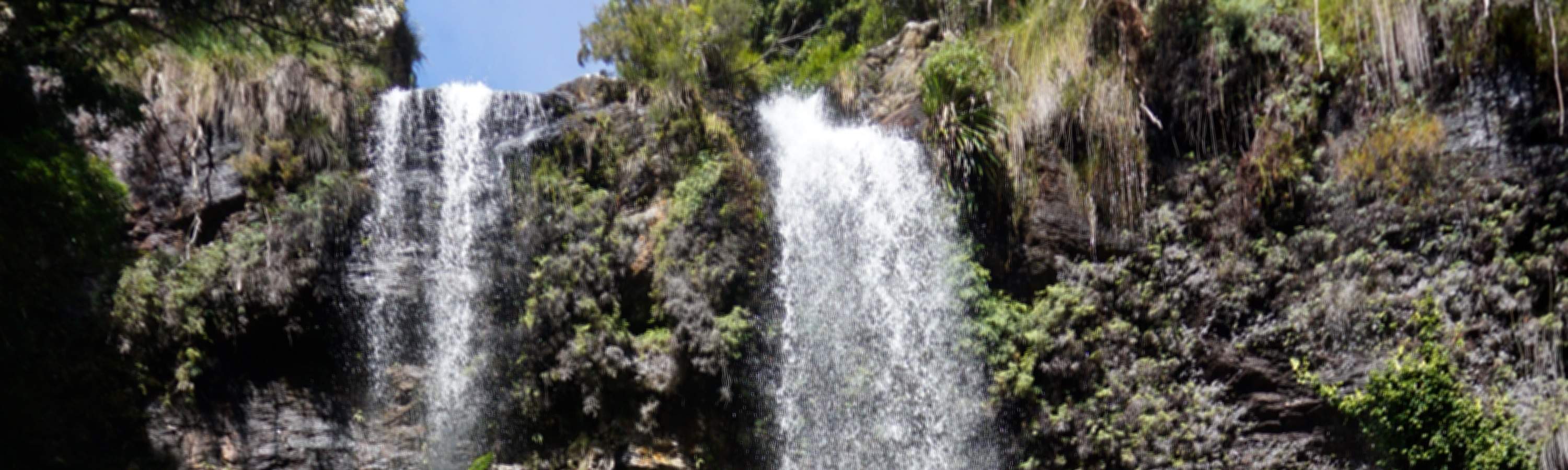 Gold Coast Rainforest and Waterfalls Day Tour - Klook Singapore