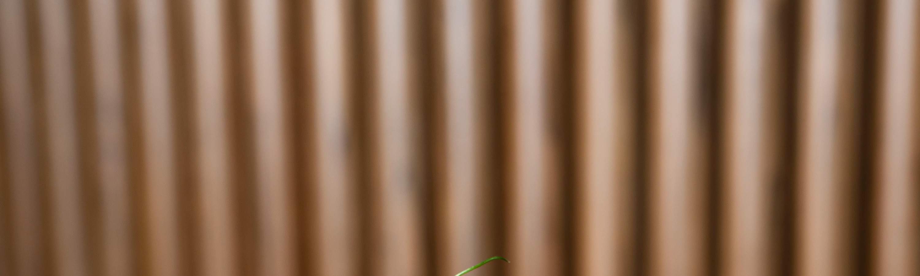 【Afternoon Tea Offer 2023】Woo Cheong Tea House | Dim Sum Afternoon Tea ...