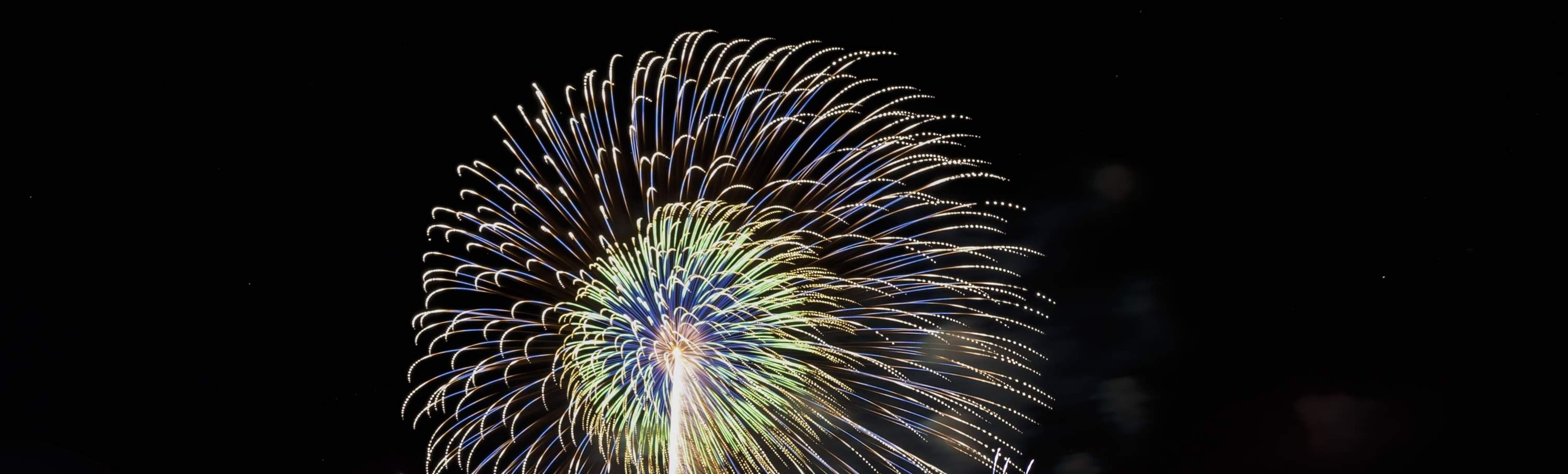 The 37th Yatsushiro National Fireworks Competition One-day Tour ...