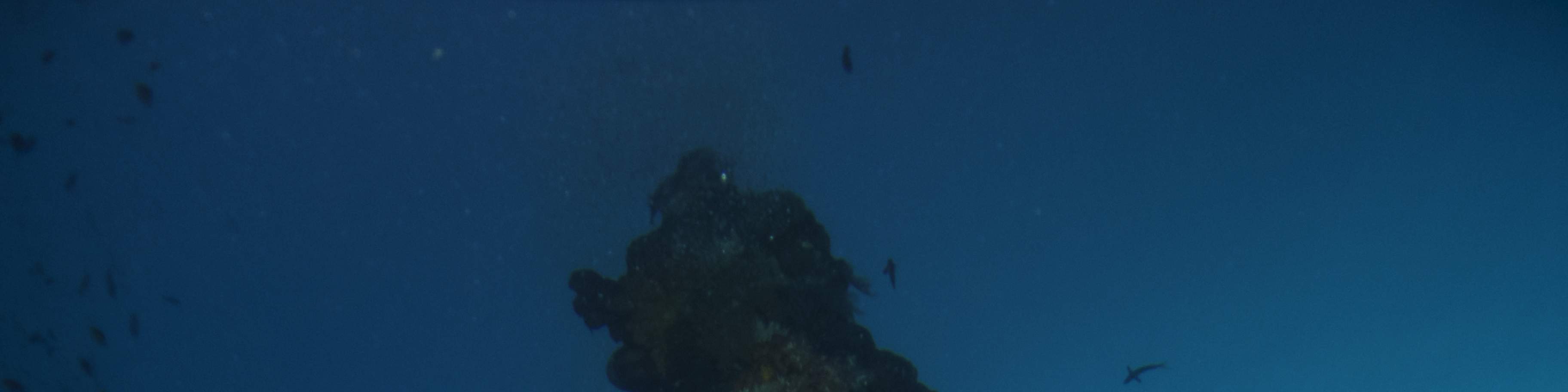 Experience Unforgettable Underwater Adventures with 2 Dives at USAT ...