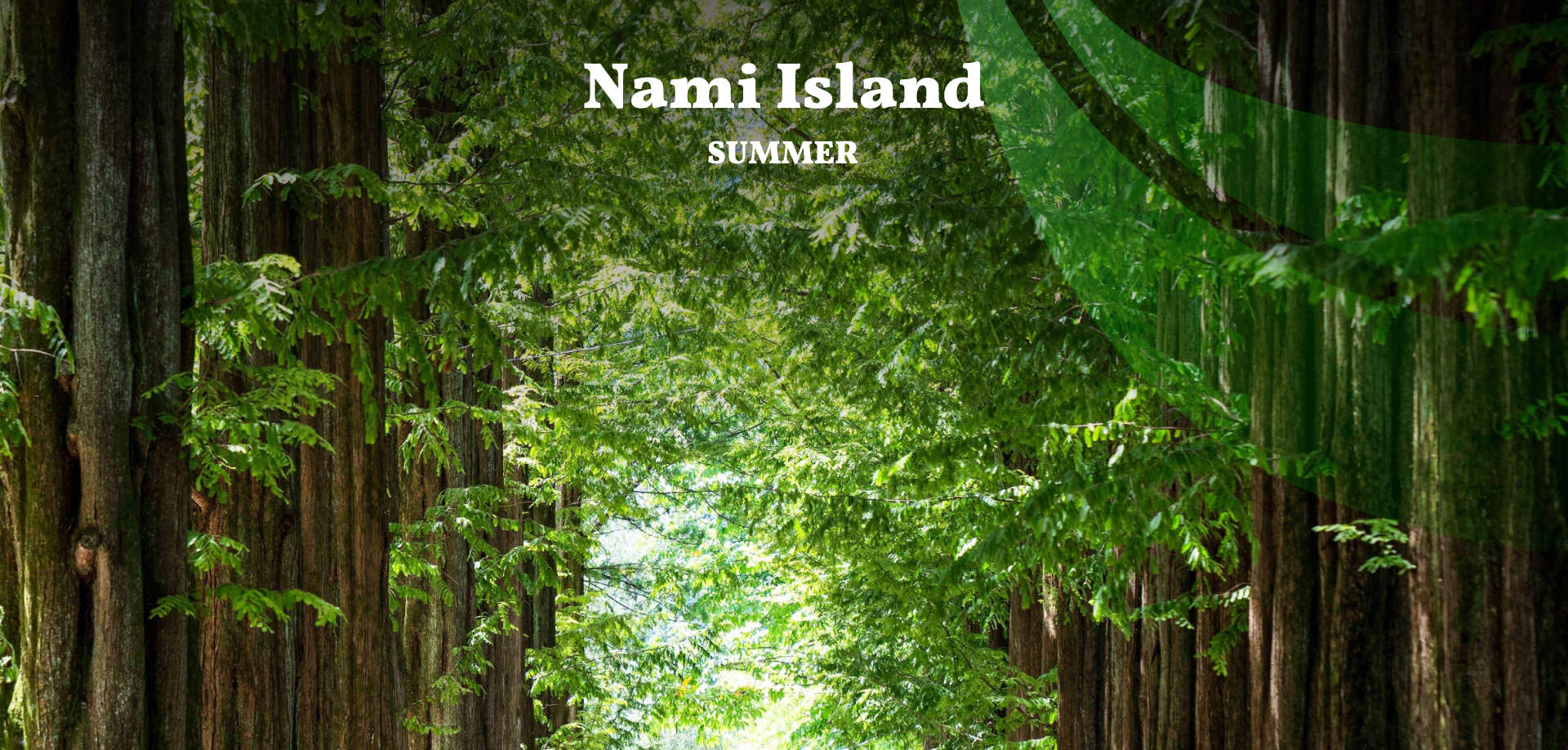 Nami Island Customizable Private Day Tour from Seoul - Klook Singapore