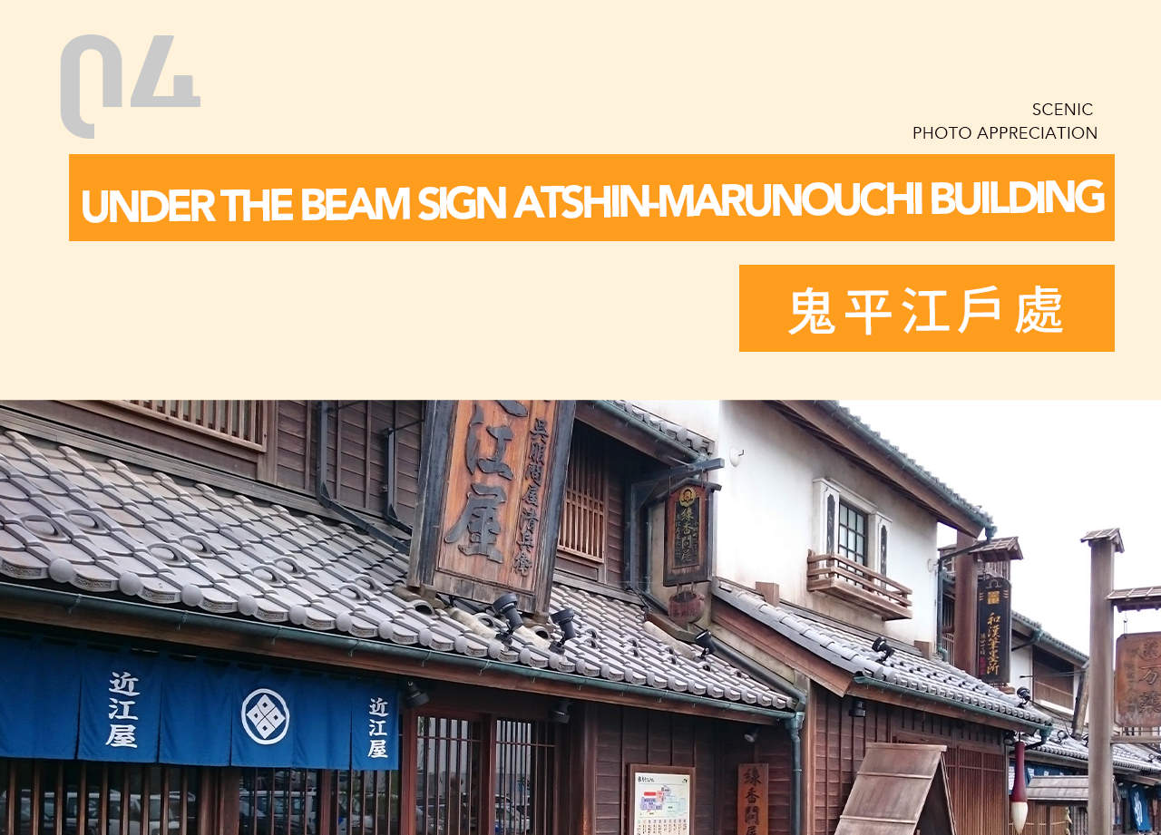 Ashikaga Flower Park Illumination, Hitachi Seaside Park & Sakatsura ...