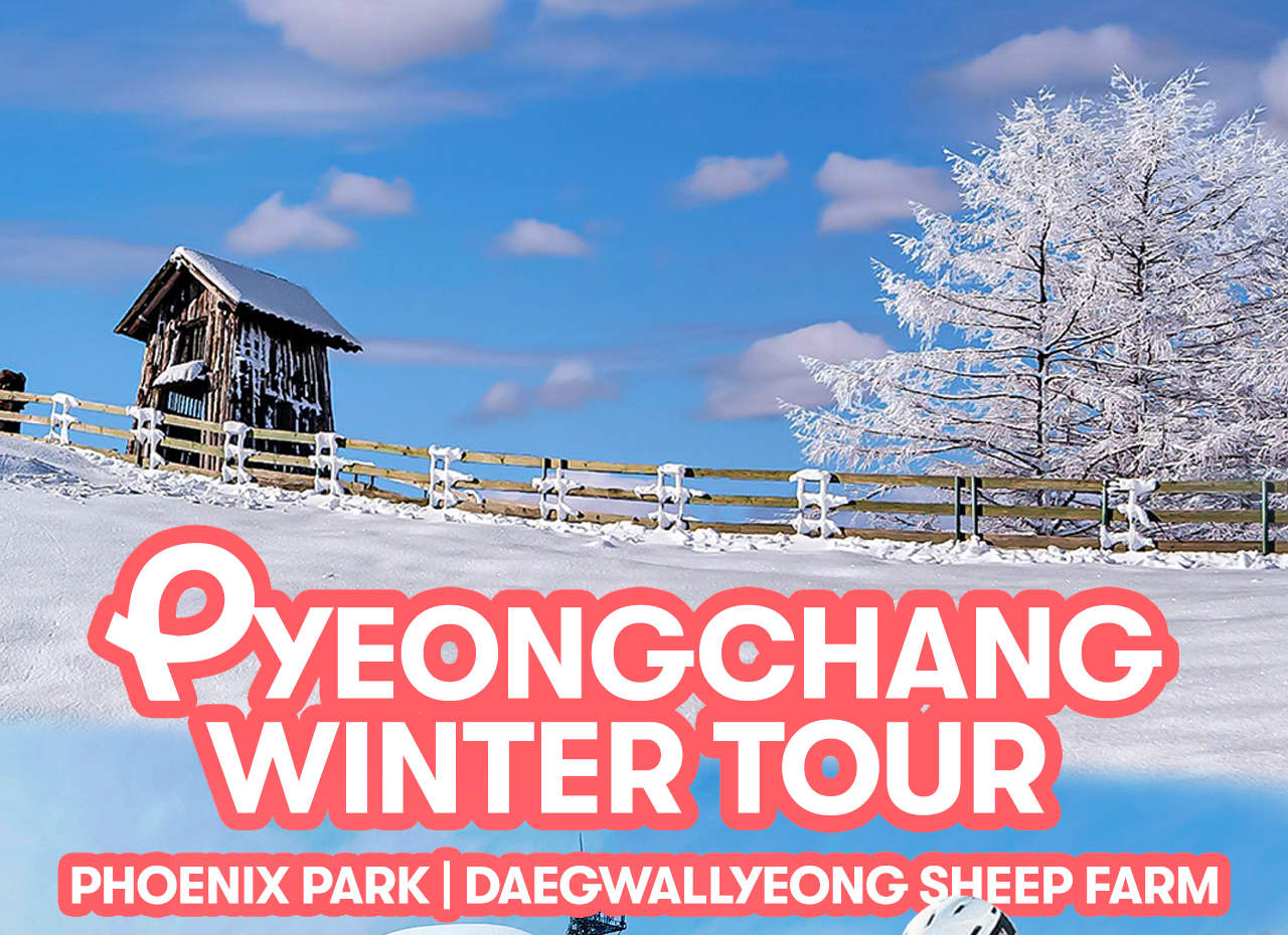 Pyeongchang Phoenix Park and Daegwallyeong Sheep Farm Tour - Klook