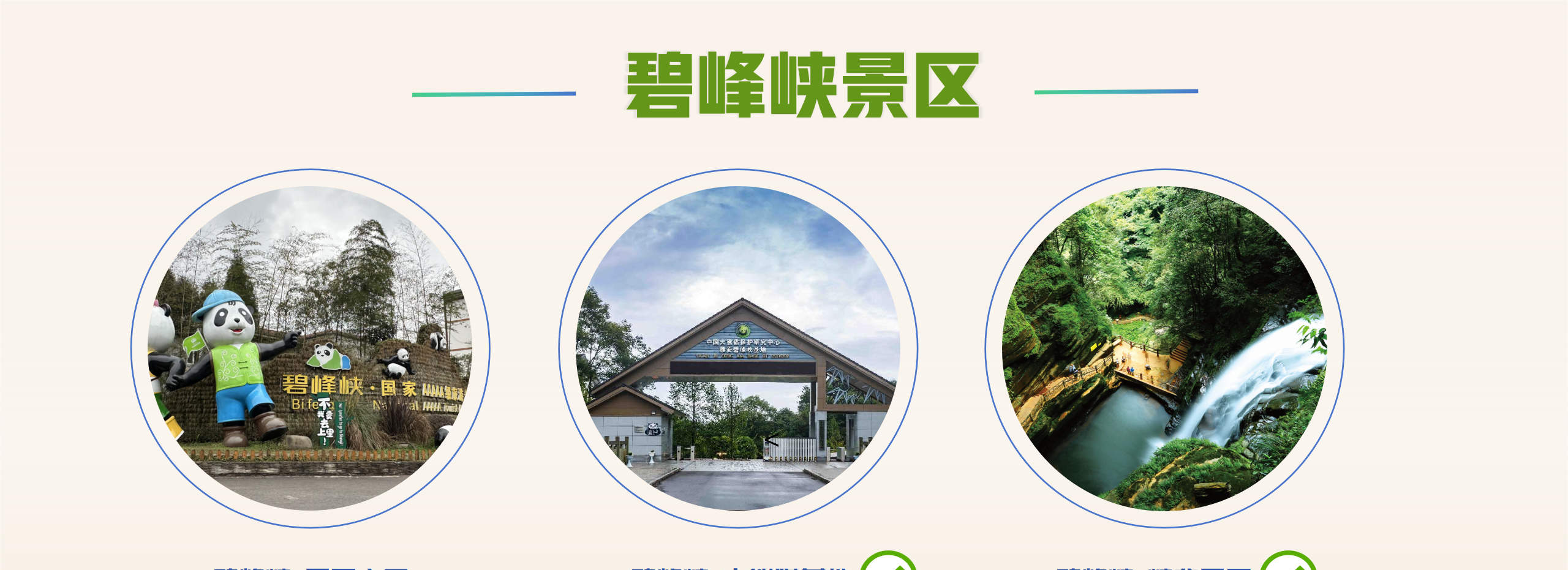 Ya'an. One-day tour to Bifeng Gorge Scenic Area-Private group, minimum ...