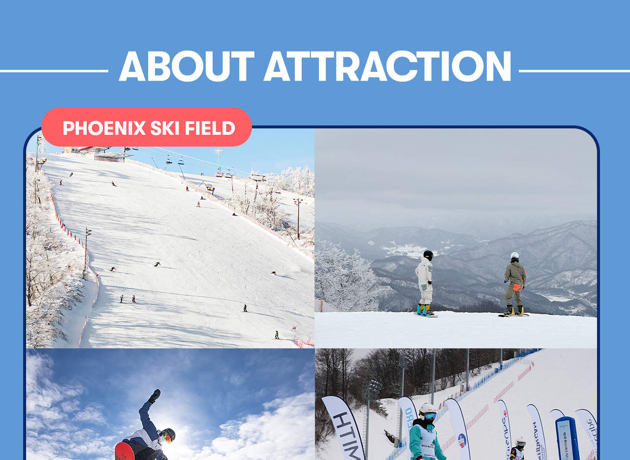 Pyeongchang Phoenix Park and Daegwallyeong Sheep Farm Tour - Klook