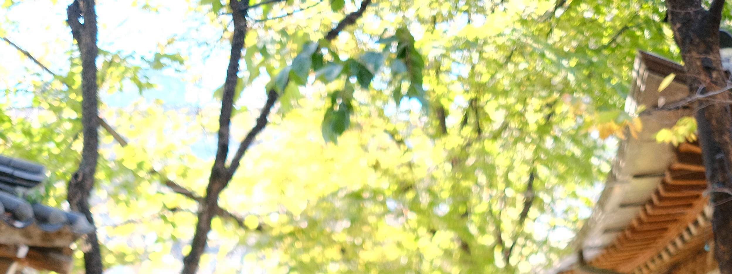 Princess Hanbok Rental & Snap Photoshoot Experience - Klook