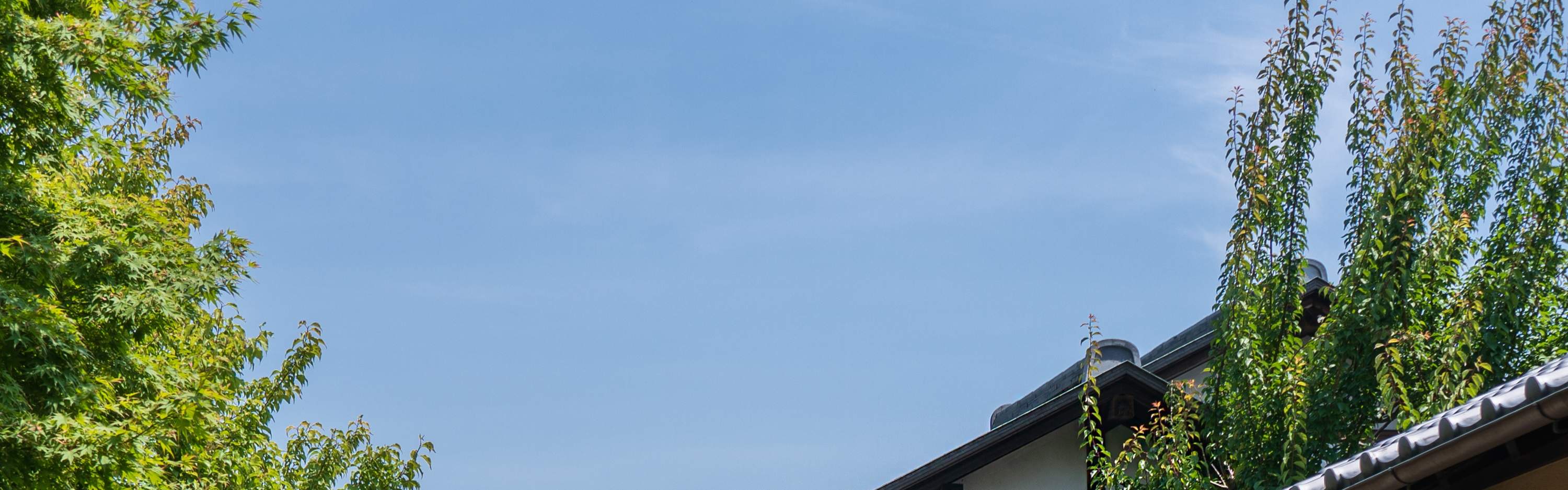 MOA Museum of Art (Shizuoka) - Klook United States