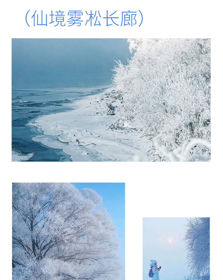 7-day trip to the first snow in Harbin Snow Village and Changbai in ...