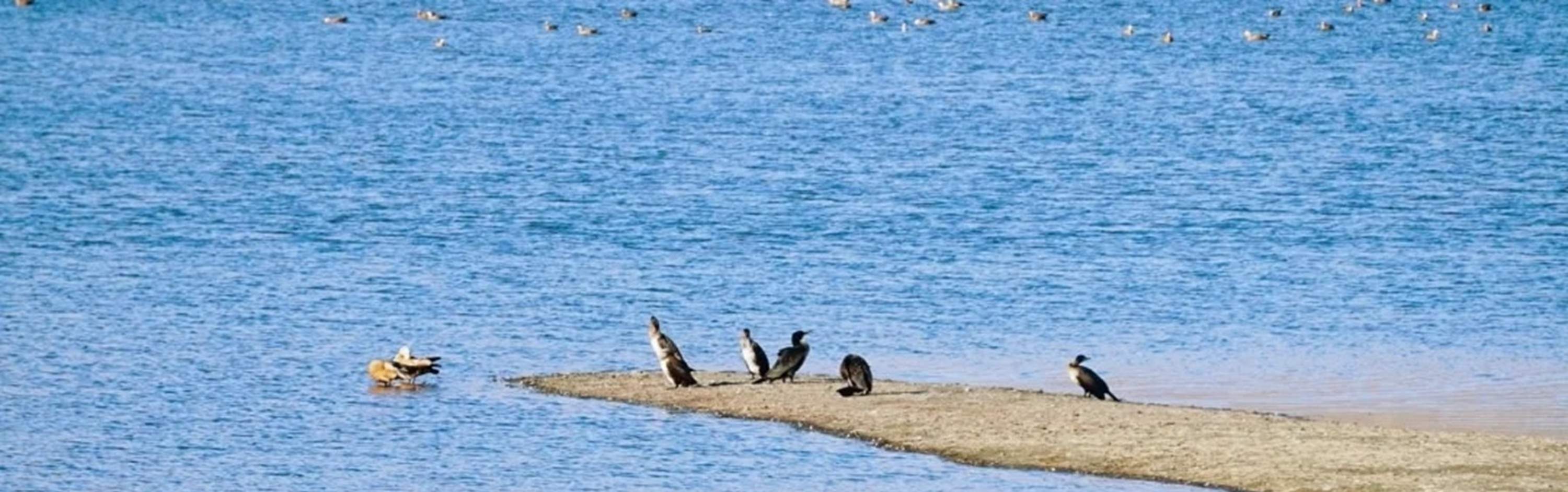 2-Day Tour to Xinjiang's Beautiful Wetland Keketuohai (Round Trip from ...
