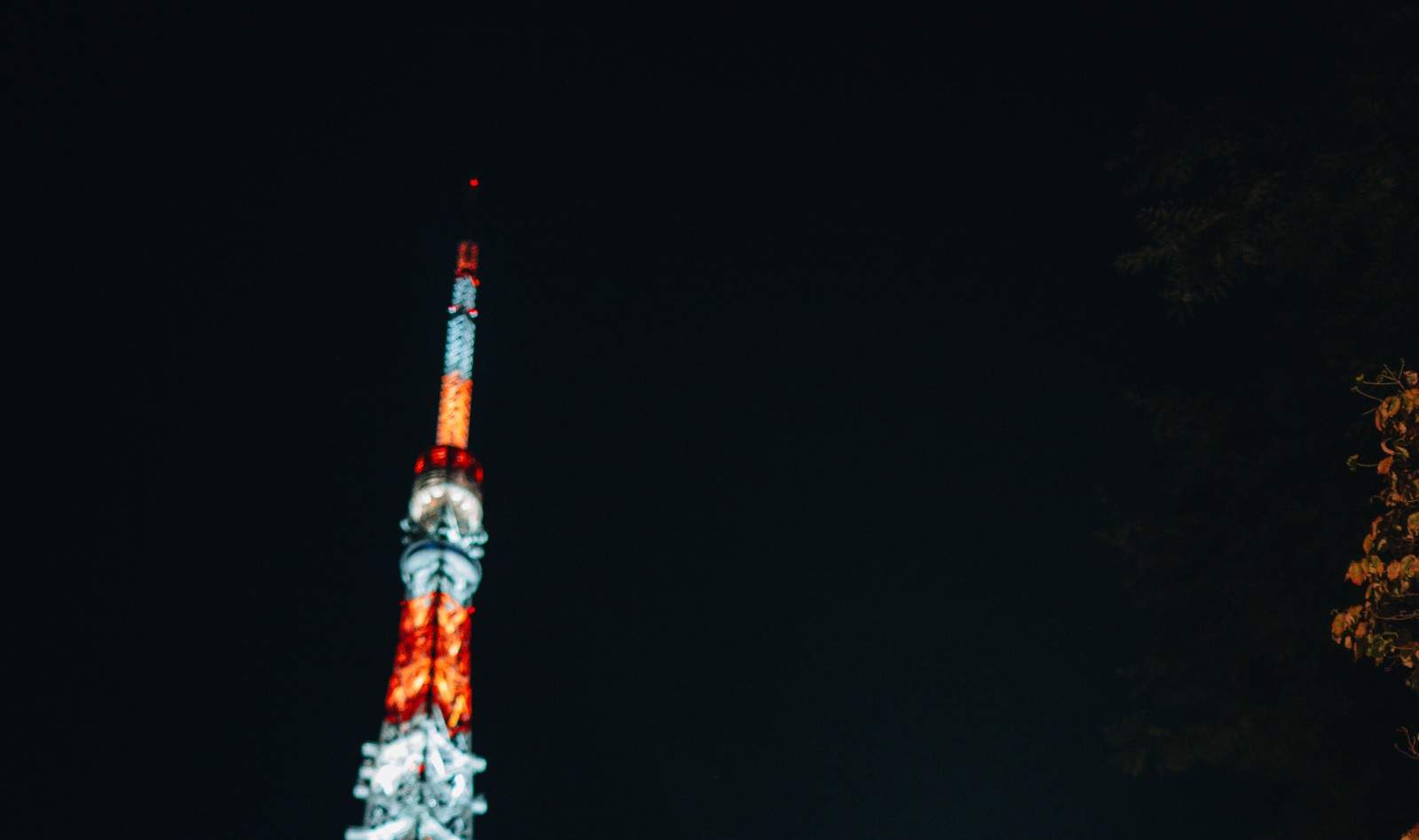 Tokyo: Daikoku Car Meetup & Night City Tour with Local Guide - Klook