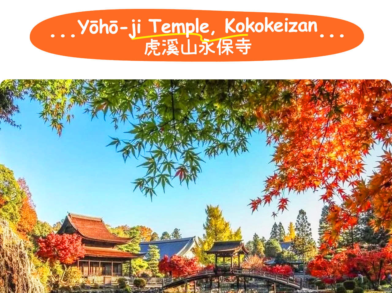 Tiger Creek Mountain Eihoji Temple & Obara Shikizakura & Korankei ...
