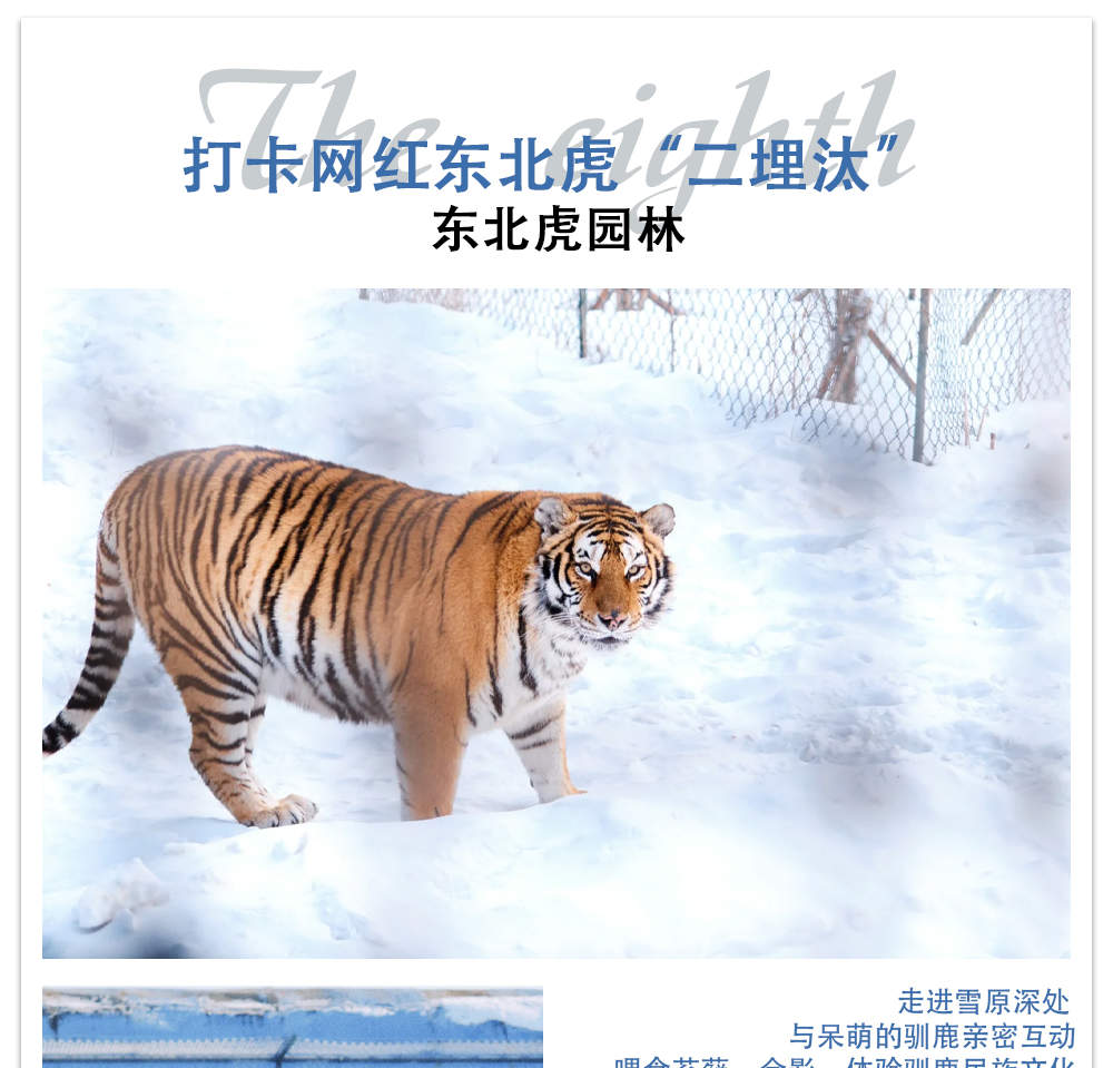 Perjalanan Utara Jauh Harbin Mohe Timur Laut 6 hari (Dunia Es dan Salju ...