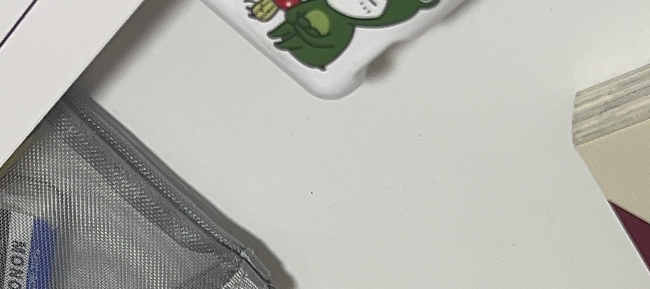 Manga production experience with a famous professional manga artist ...