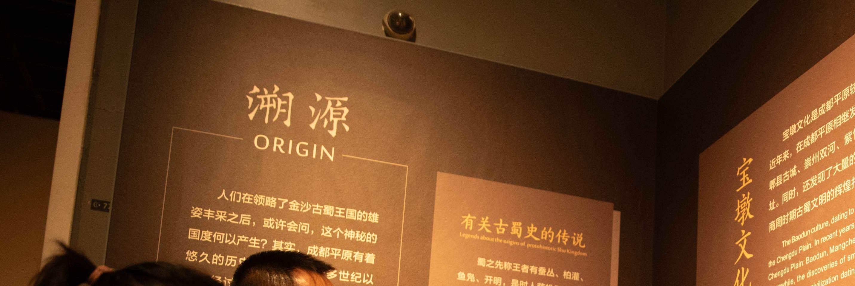 Jinsha Ruins Museum professional tour guide (optional group tour ...