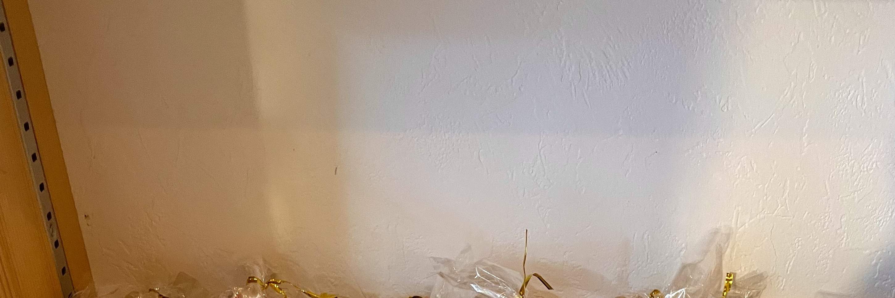 Tokong Kucing Gotokuji, kafe Kucing Shinjuku dan lawatan Kucing 3D (Tokyo) - Klook Amerika Syarikat