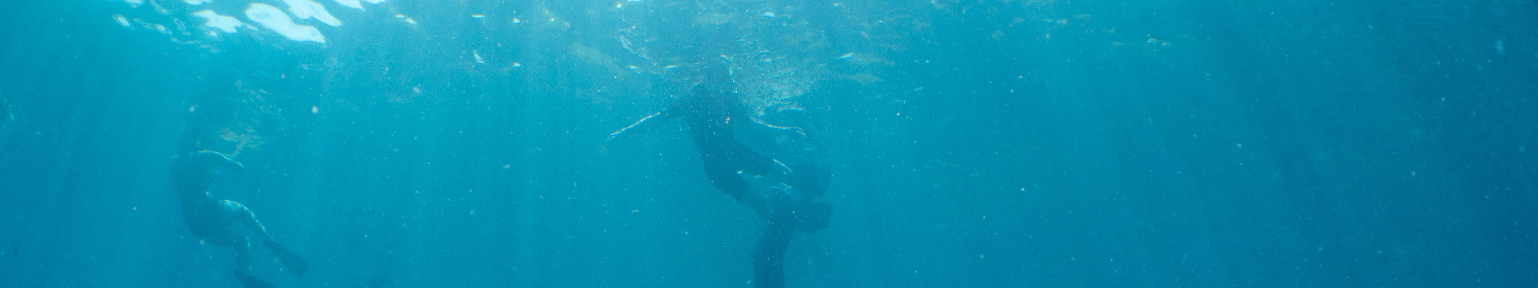 Explore the Wonders of Snorkeling in Amed, Bali with Our PADI 5 Star ...