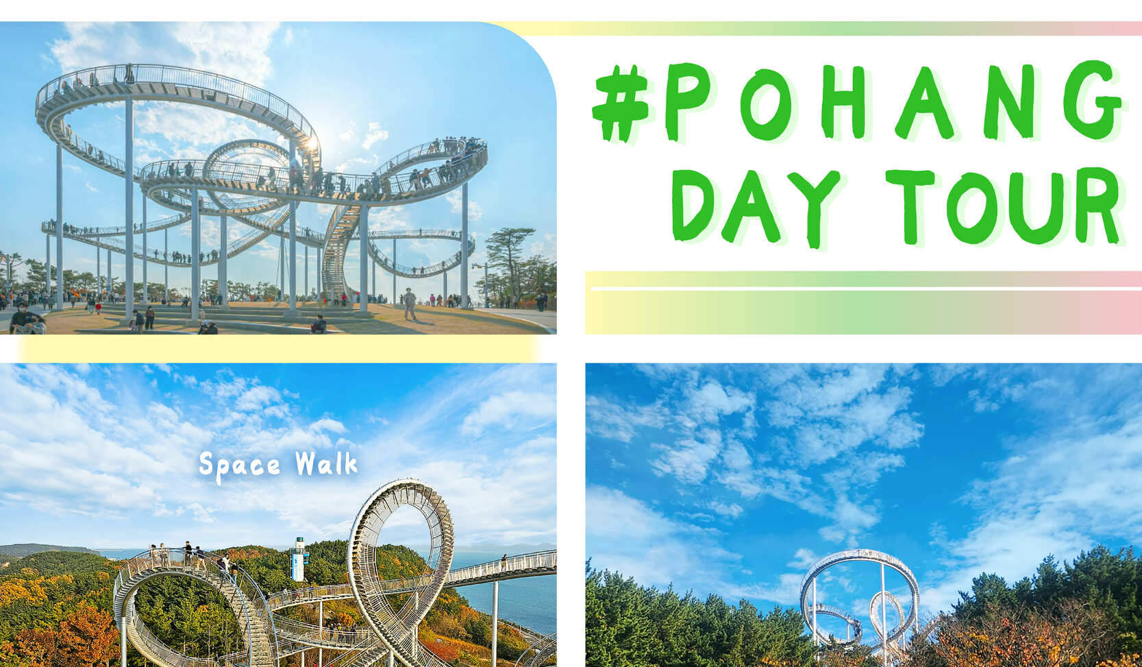Pohang Space Walk x Cherry Blossom, Guryongpo, Homigot Canola Flower ...