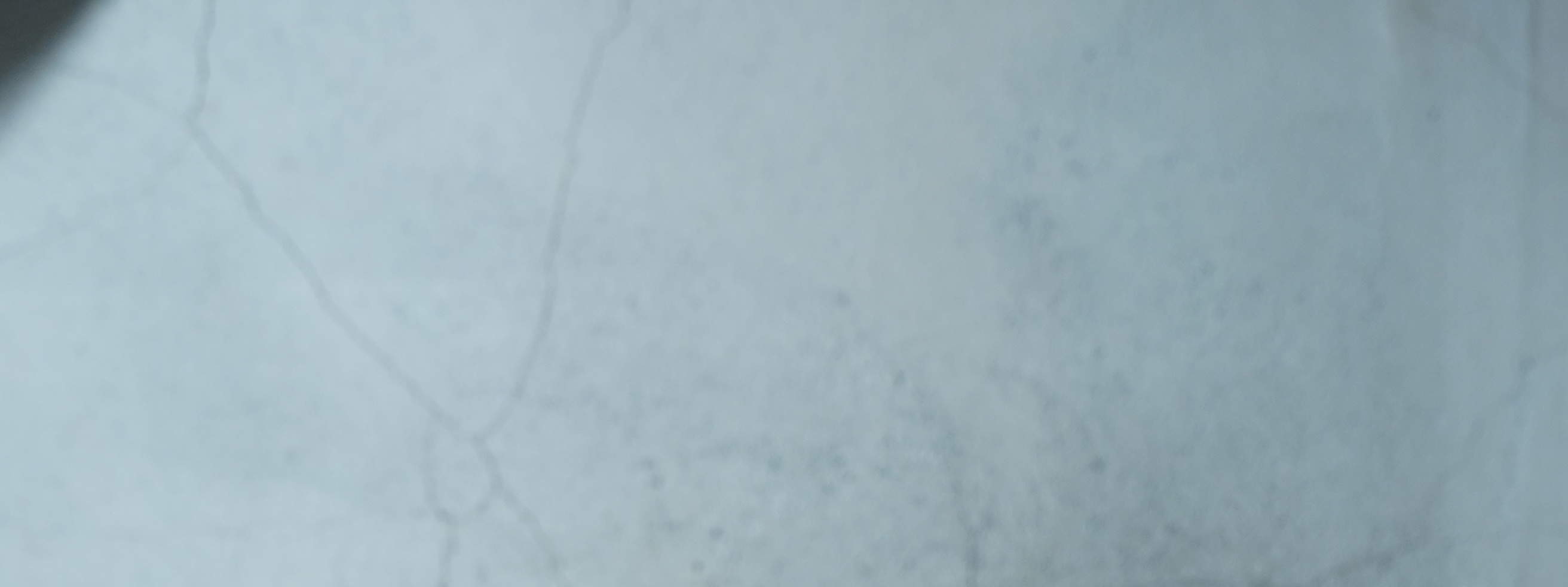 NEO SHINJYUKU ATSUSHI - Themed Restaurant in Tokyo, Shinjuku - Klook