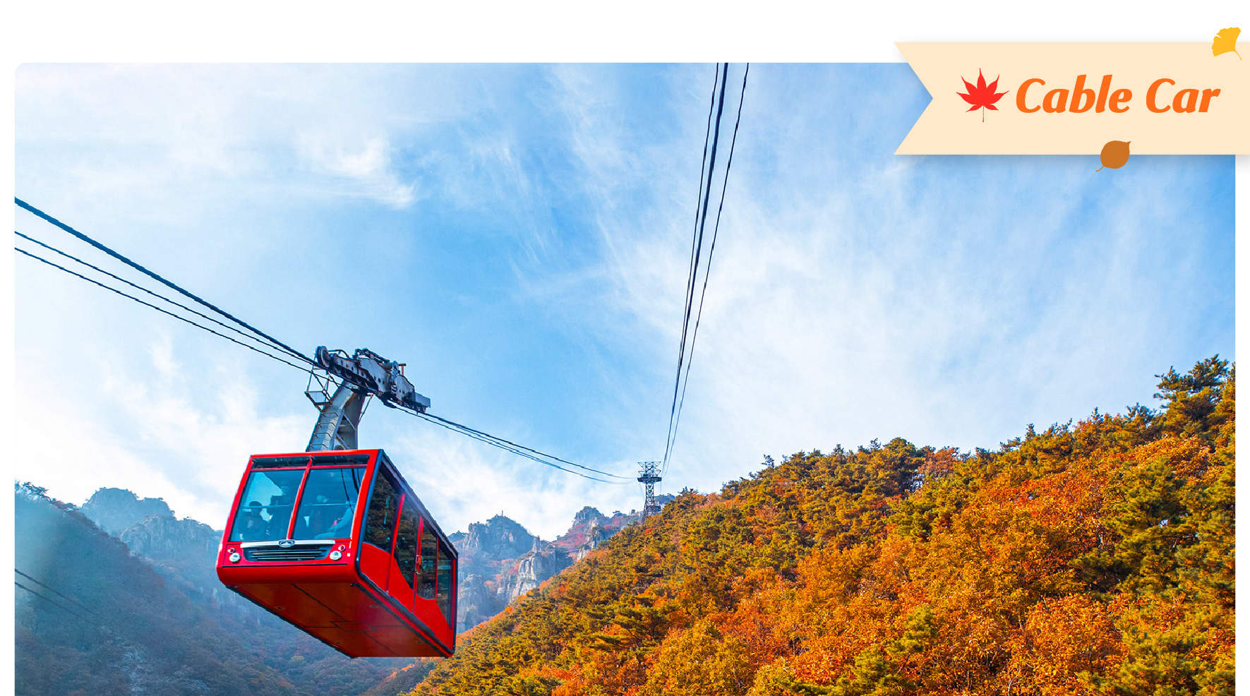 Daedunsan Autumn Maple Day Tour from Seoul - Klook India