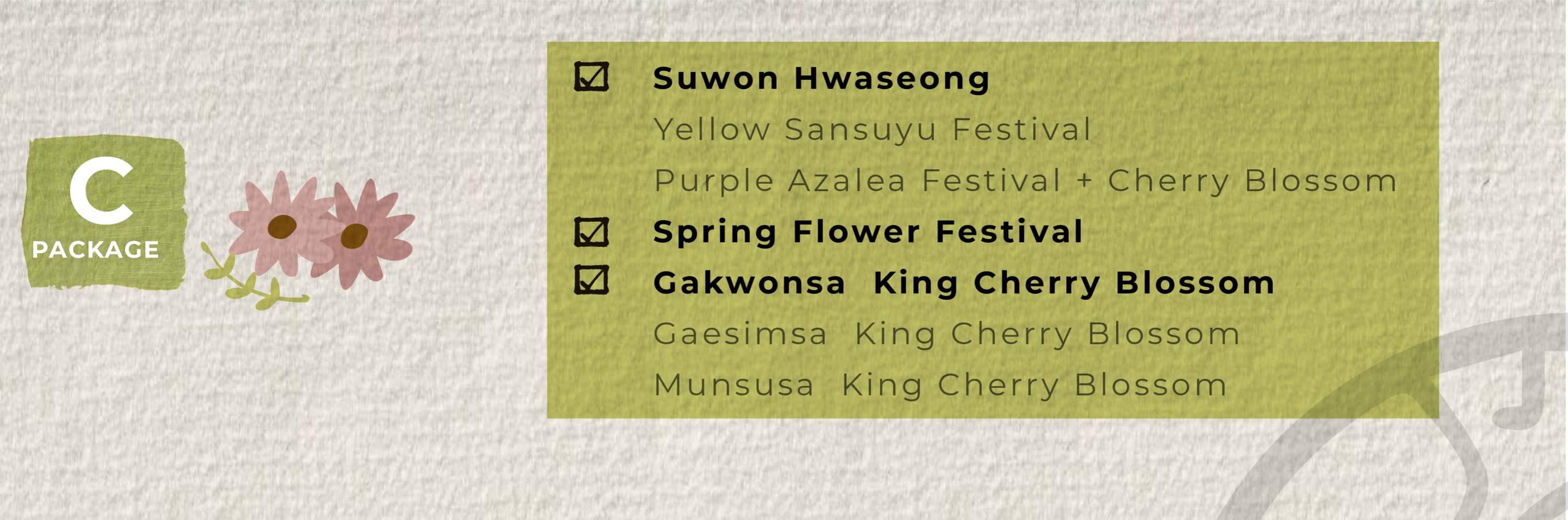 Cherry Blossom Suwon Hwaseong Fortress Tour from Seoul - Klook