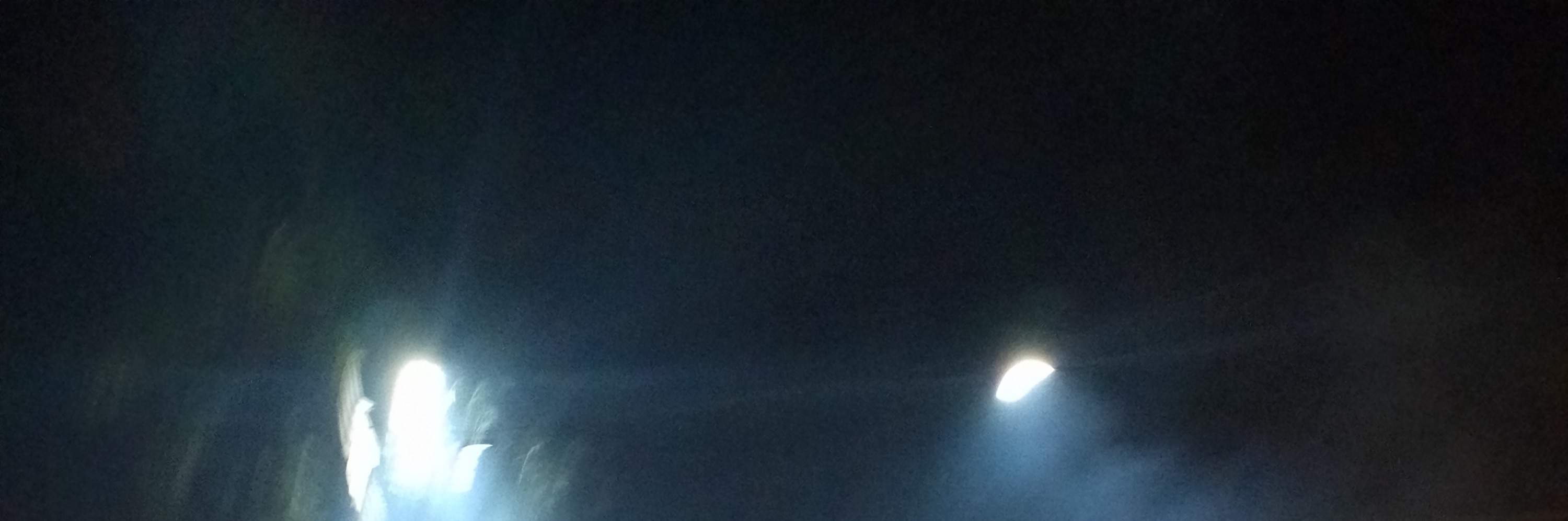 3 Days Exciting Jungle Safari Tour from Kathmandu/Pokhara - Klook