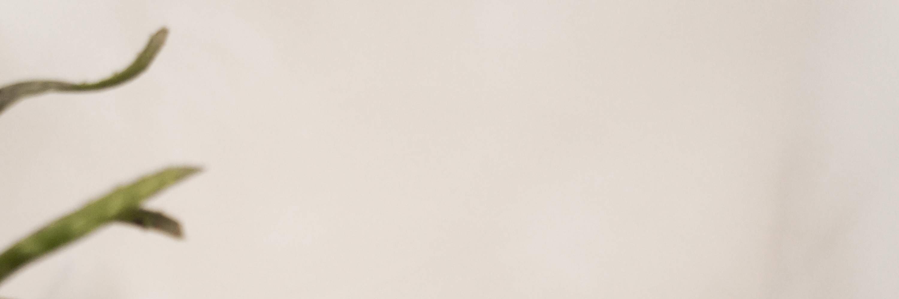 Indigo Dyeing Workshop - Klook Malaysia